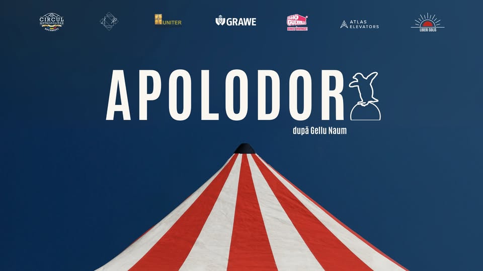 Apolodor-un pinguin călător - OnEvent
