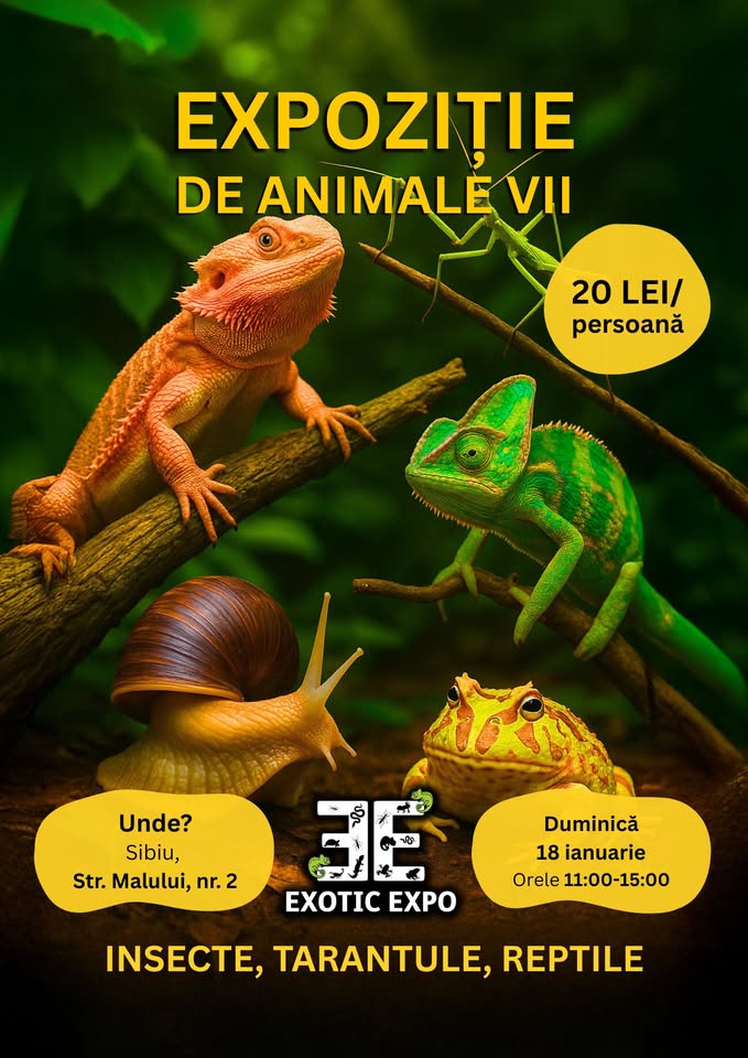 🌴🕷️ EXOTIC EXPO SIBIU – mai spectaculos ca niciodată! 🐍🦎 - OnEvent